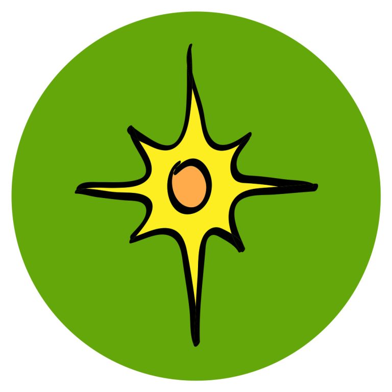 Success MindsetMaps Coach Certification